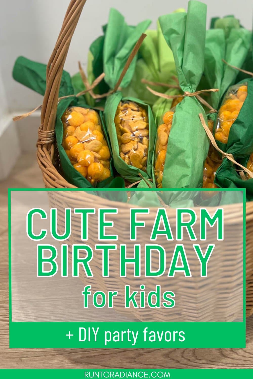 Plan the Perfect Farm Birthday Party (with Plenty of DIY Ideas!) - Run ...
