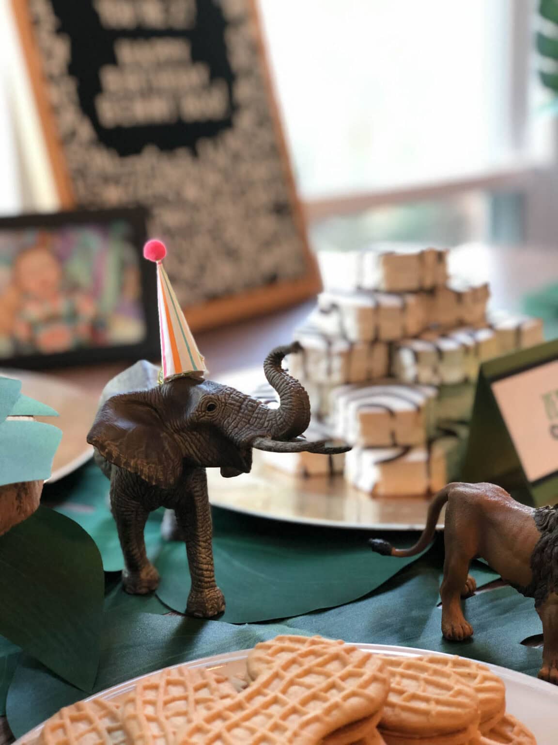 Get Wild with These Party Animal Birthday Ideas - Run To Radiance