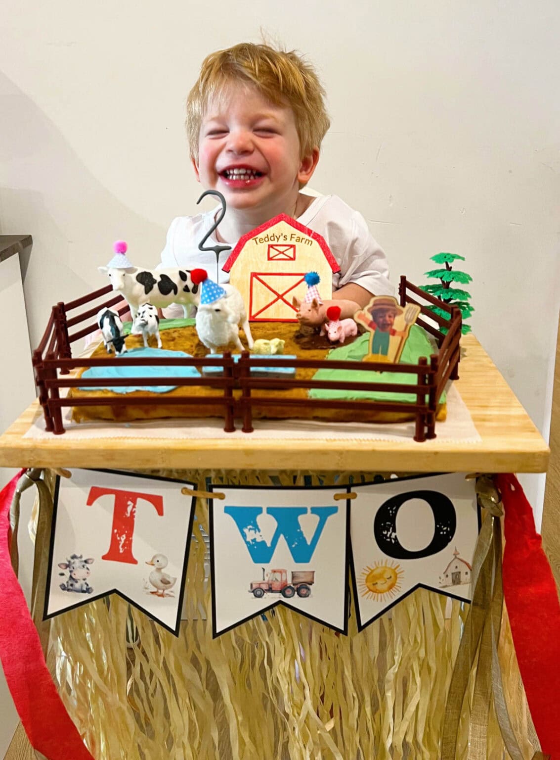 Plan the Perfect Farm Birthday Party (with Plenty of DIY Ideas!) - Run ...