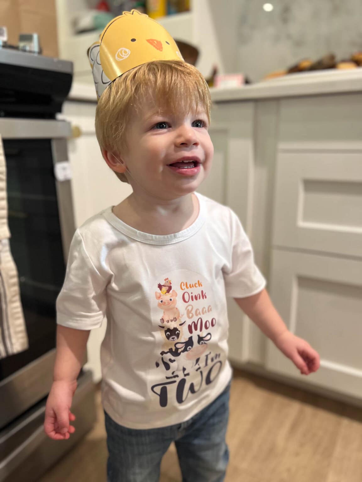 Plan the Perfect Farm Birthday Party (with Plenty of DIY Ideas!) - Run ...