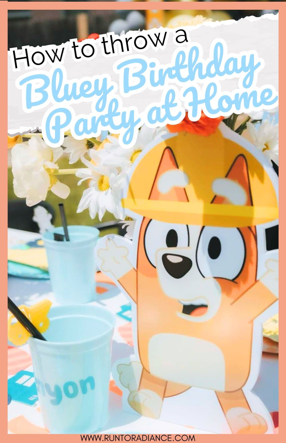 Wackadoo! 33+ of the BEST Bluey Birthday Party Ideas